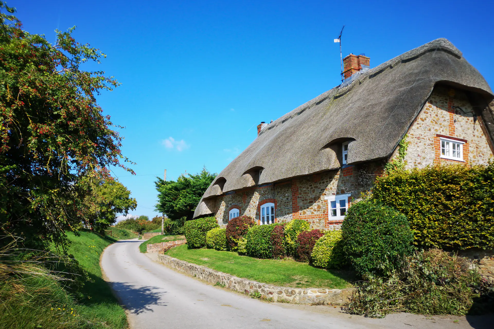 About Us | Thatched Owners Group